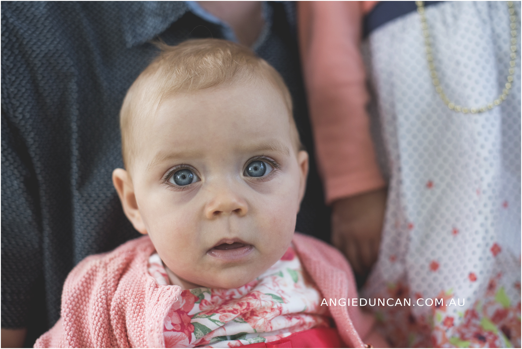 Meehan Family – Camden Family Photography » Angie Duncan Photography