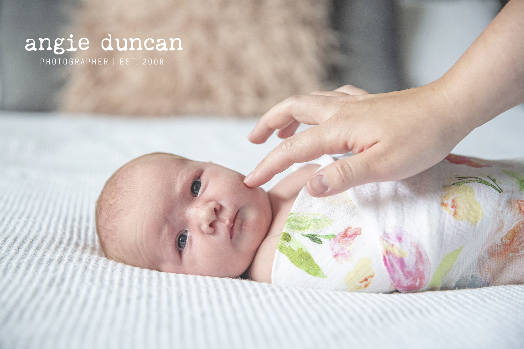 Addyson Newborn » Angie Duncan Photography